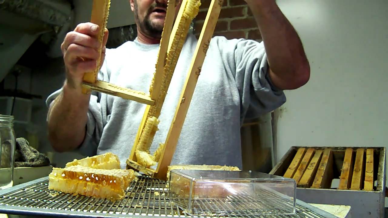 COMB HONEY Cutting Basics Video,Chunk Honey Honeycomb Beekeeping ...