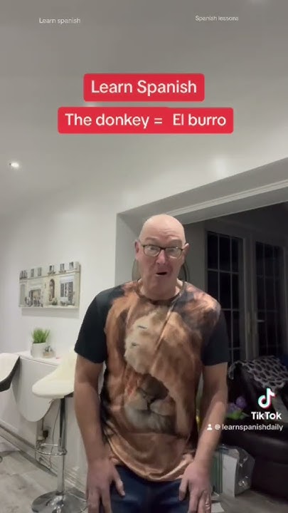 Learn Spanish -| #shorts | DONKEY in Spanish | #Youtubeshorts | Spanish ...