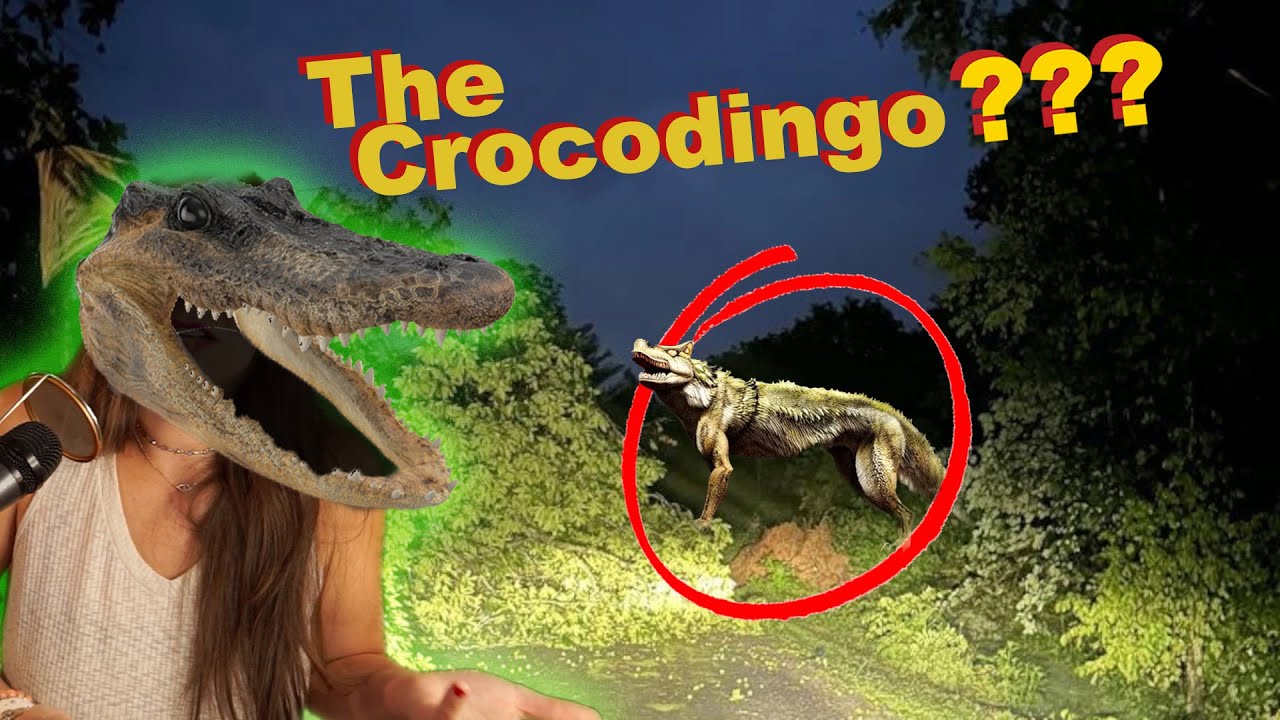 Crocodingo: Chilling History Behind Tennessee’s Legendary Hybrid - YouTube
