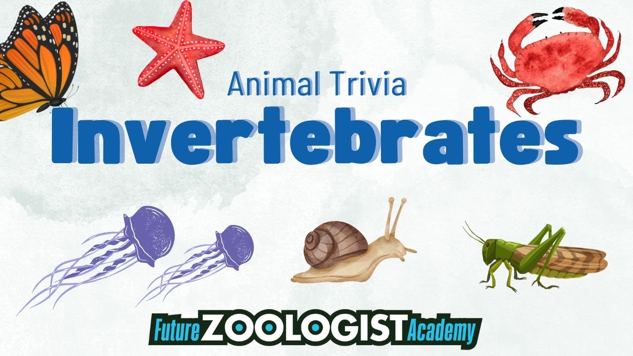 Invertebrate Trivia | 10 Trivia Questions to Learn About Invertebrates ...