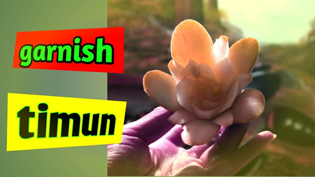 Cara membuat garnish dari TIMUN (cucumber simple garnish) - YouTube