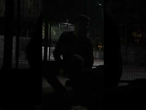 DİYAR DOĞANAY - Yar ben senden ayrılamam yar