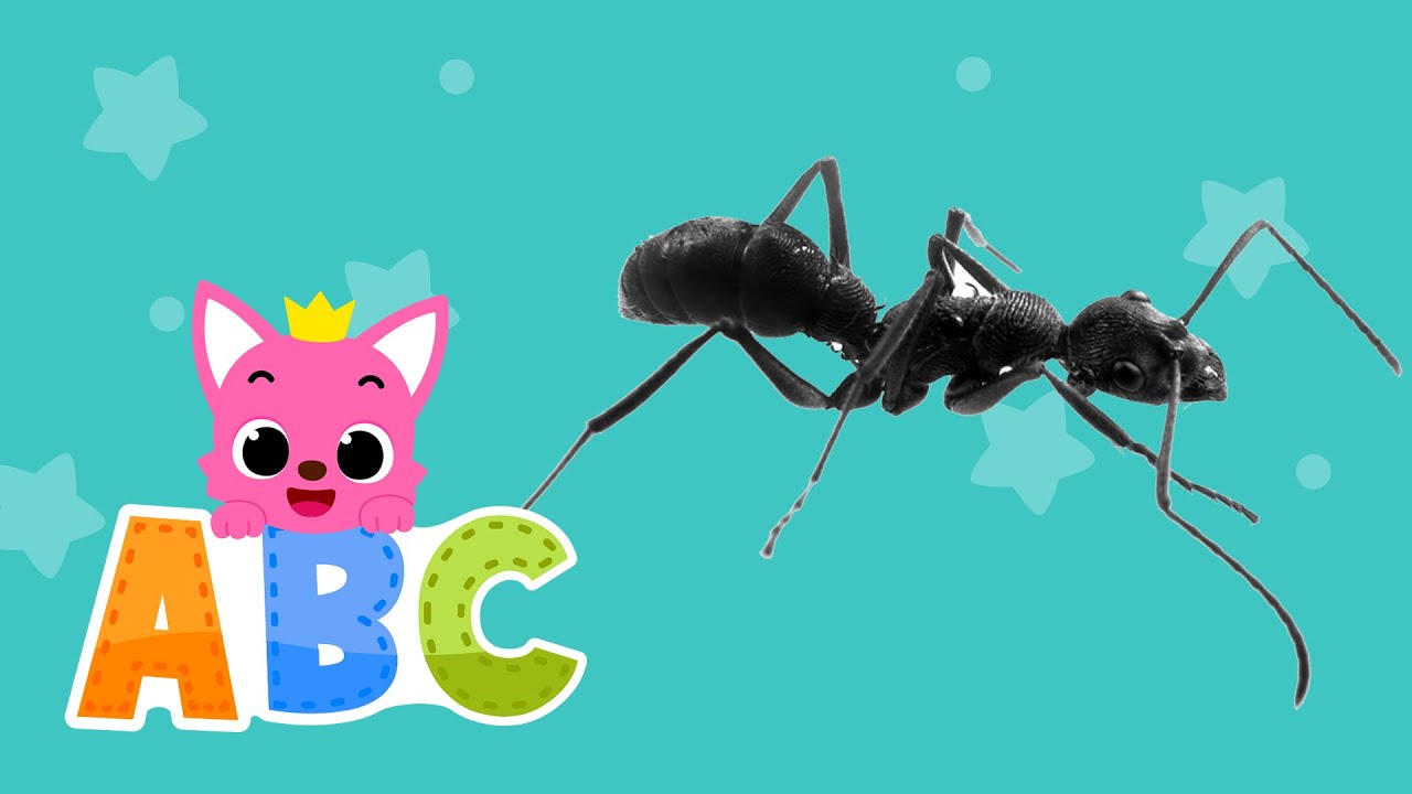 Learn ABCs with Pinkfong: Ant, Mosquito, Spider | ABC Song, Bugs Names ...