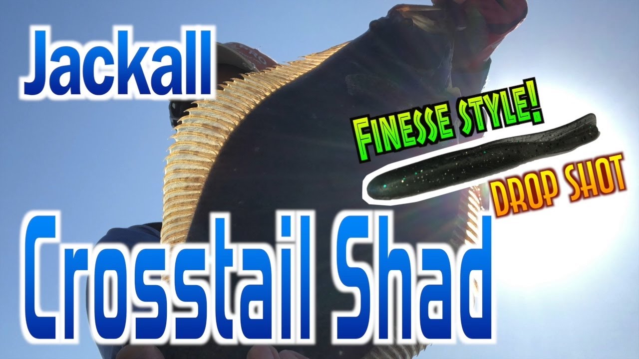 Jackall Crosstail Shad. Finesse drop shot rig catches Halibut. [Review ...