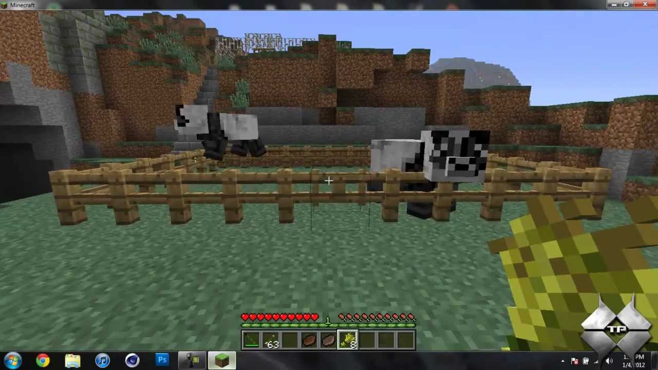 Minecraft 1.0.0 - How To Install The Panda Mod - YouTube