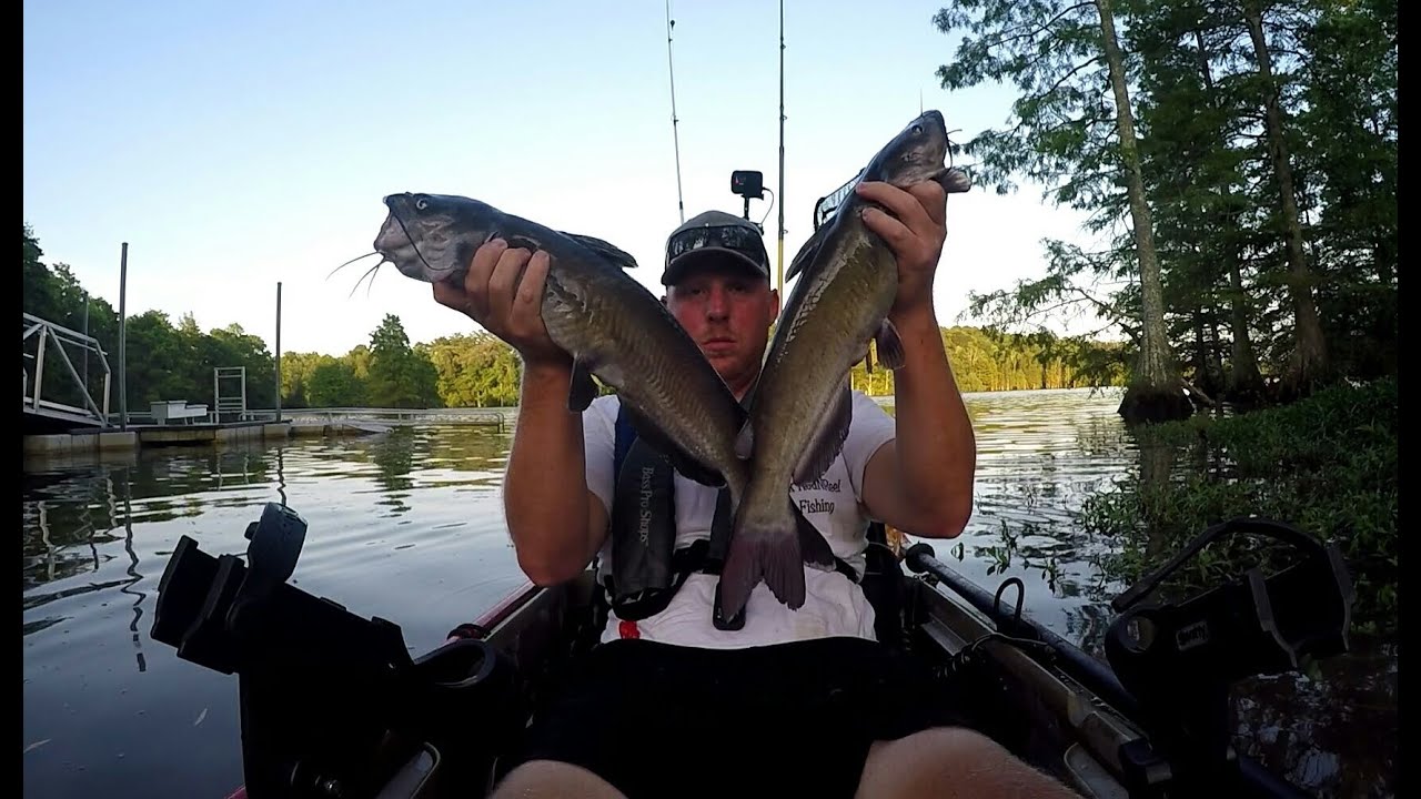 Catfishing 7/18/2016 - YouTube