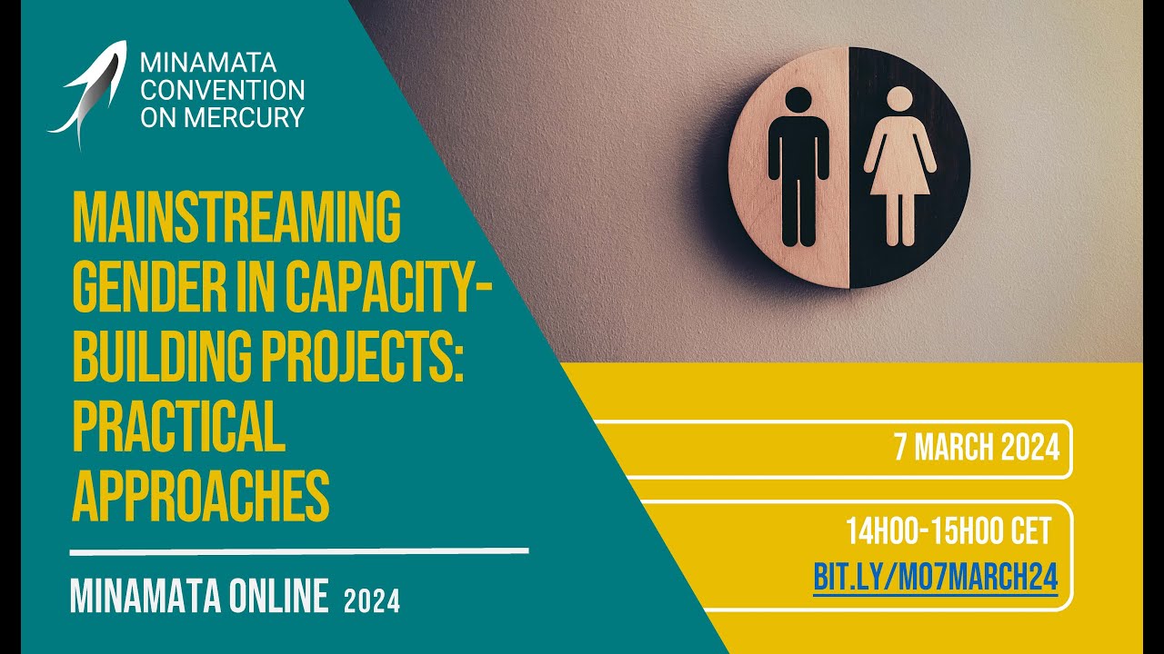Minamata Online: Mainstreaming gender in capacity-building projects ...
