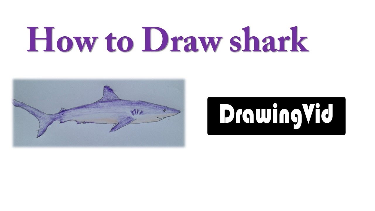 How to Draw shark | Fish eat people - YouTube