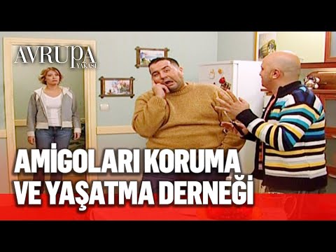 Volkan ve Sertaç,  Aslı'yı fena kandırdı - Avrupa Yakası