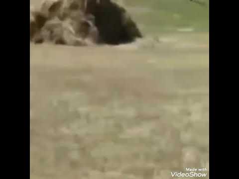 HERCAİ 39 bölüm sahneleri  Mıran Aslan bey sahnelerı