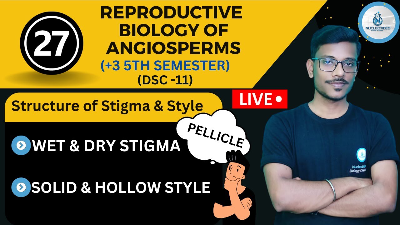Structure of Stigma & Style || Reproductive Biology Of Angiosperms ...