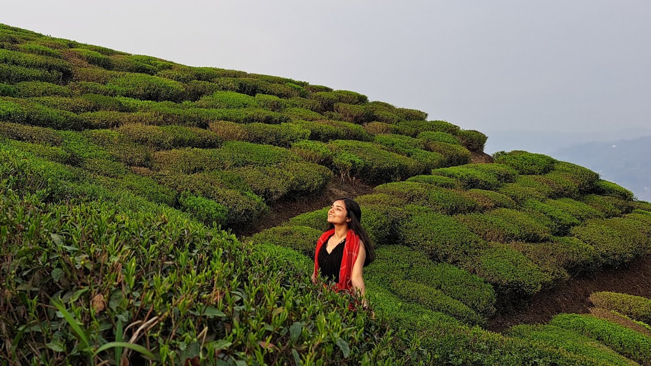 Ilam Tour| Kanyam | Shree Antu | Jhapa | 4 Days - YouTube