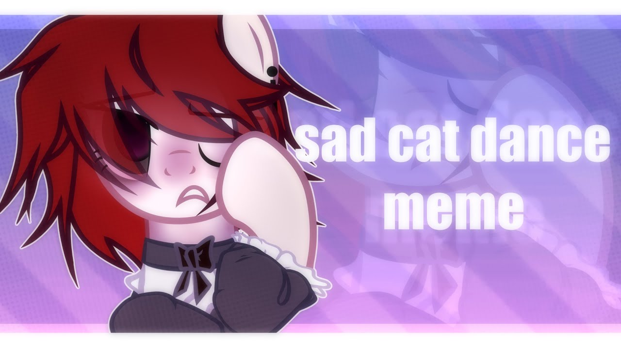 SAD CAT DANCE || animation meme - YouTube