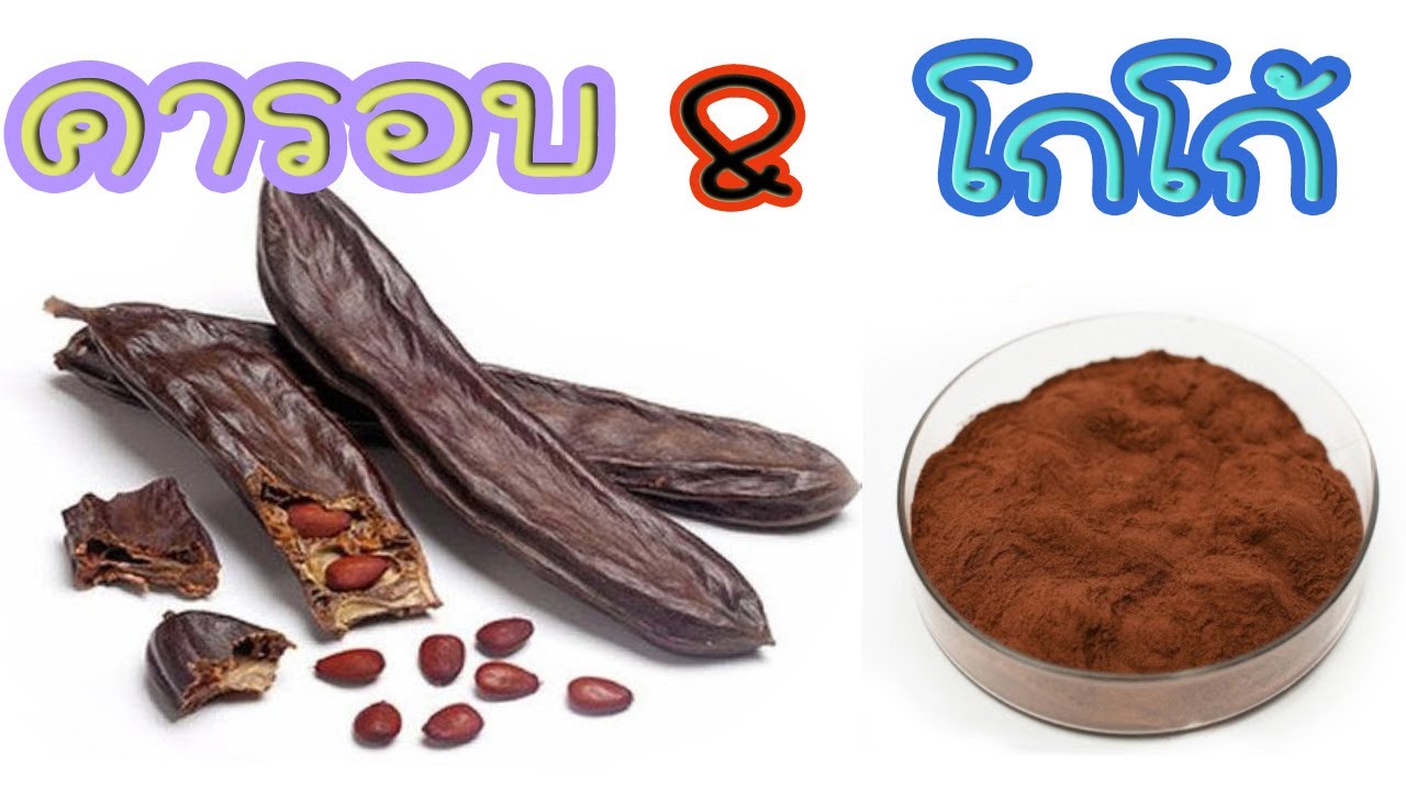 carop | วิธีเพาะเมล็ดคารอบ ฝักกินได้ บดเป็นผงโกโก้ - YouTube