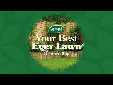 Overseeding - Westland Your Best Ever Lawn