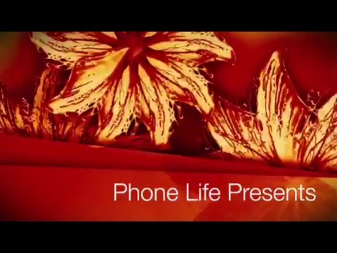 Introducing Phone Life - YouTube