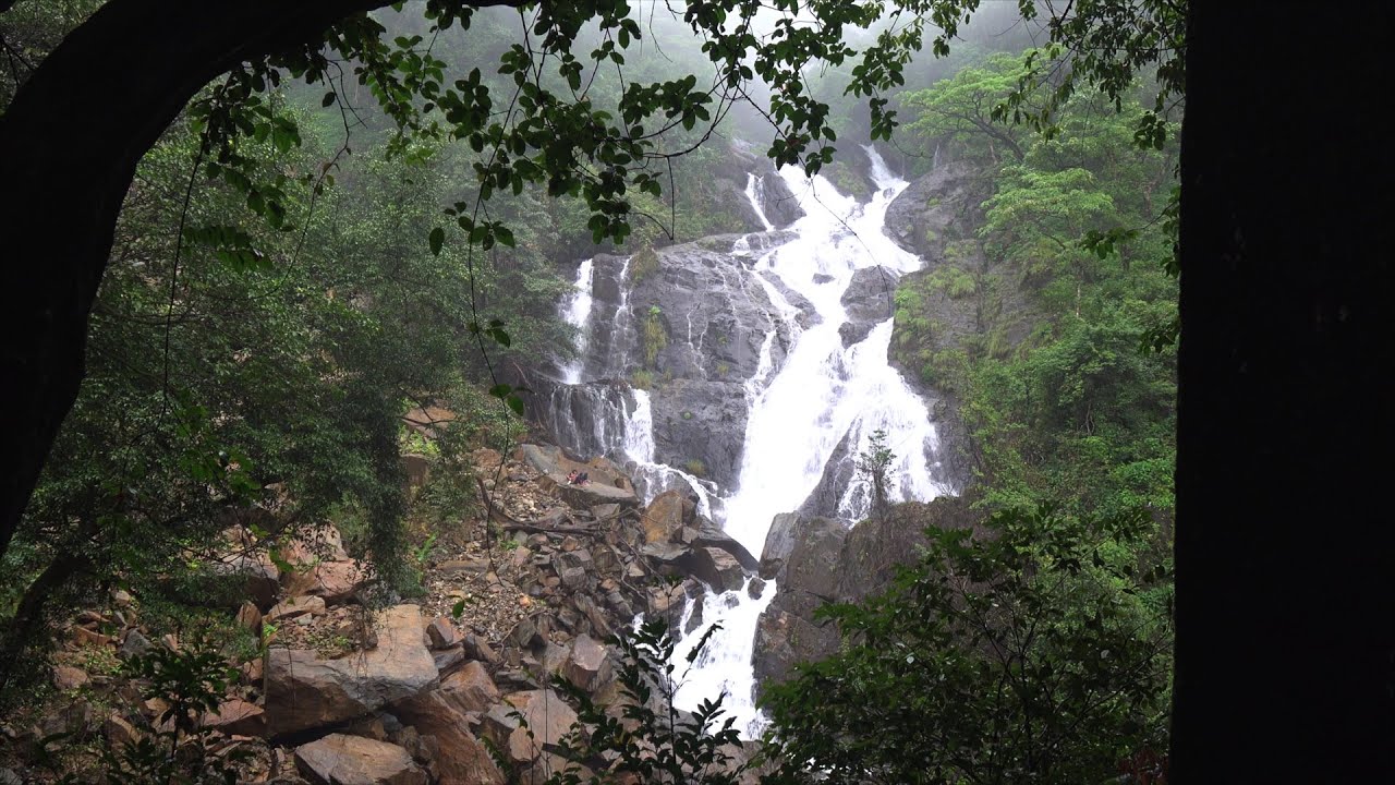 Goa's Secret: Conquering the Trek to Tambdi Surla Waterfalls - YouTube