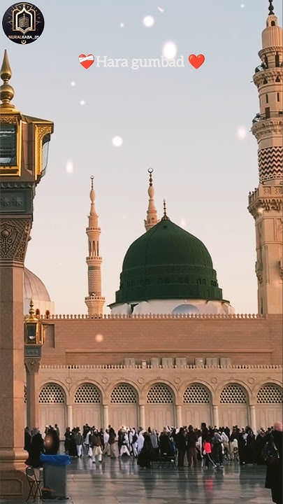 Hara Gumbad Jo Dekho Ge | Naat status | #HaraGumbadnaat #shorts | NoorAlKaba_05 - YouTube