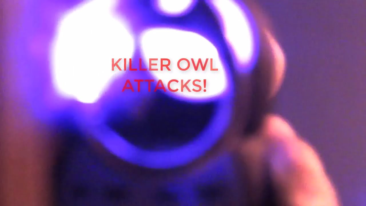 THE KILLER OWL! [SKIT] - YouTube