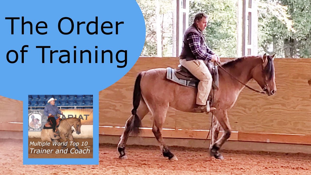 Order of training Varies Depending On....... - YouTube