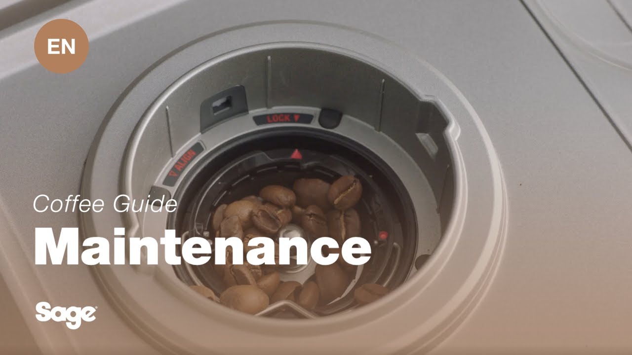 Tutorials - How to clean grinder conical burrs | the Oracle™ Touch | Sage