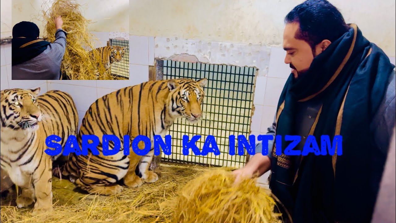 Sardion mein room ka temperature garam rakhnay kay liay Kya zarori ...