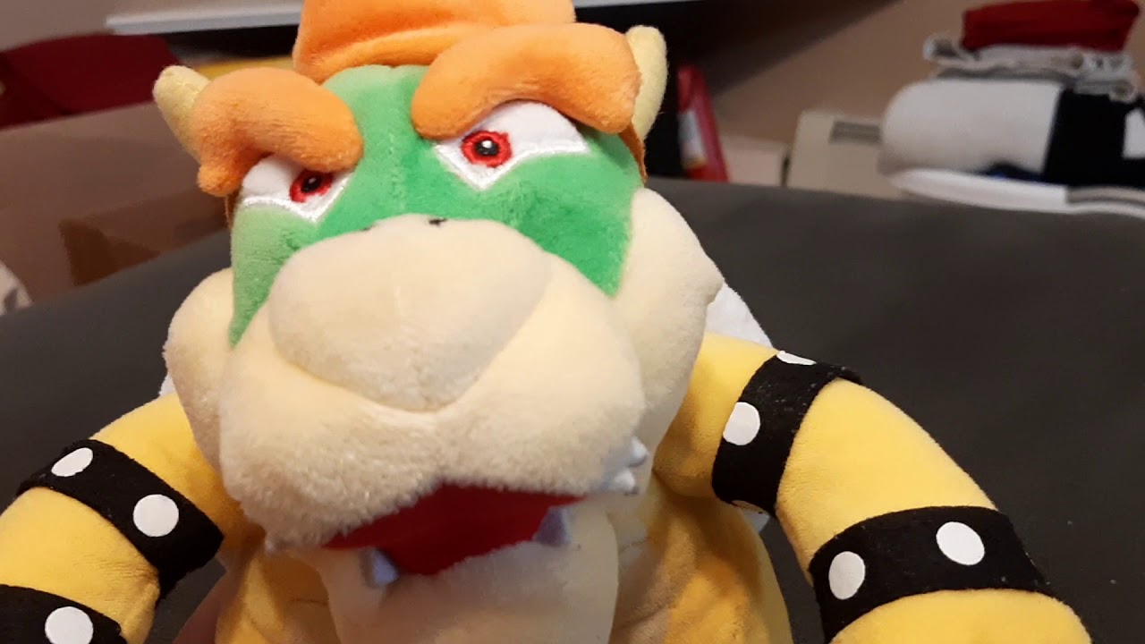 Bowser Interview - YouTube