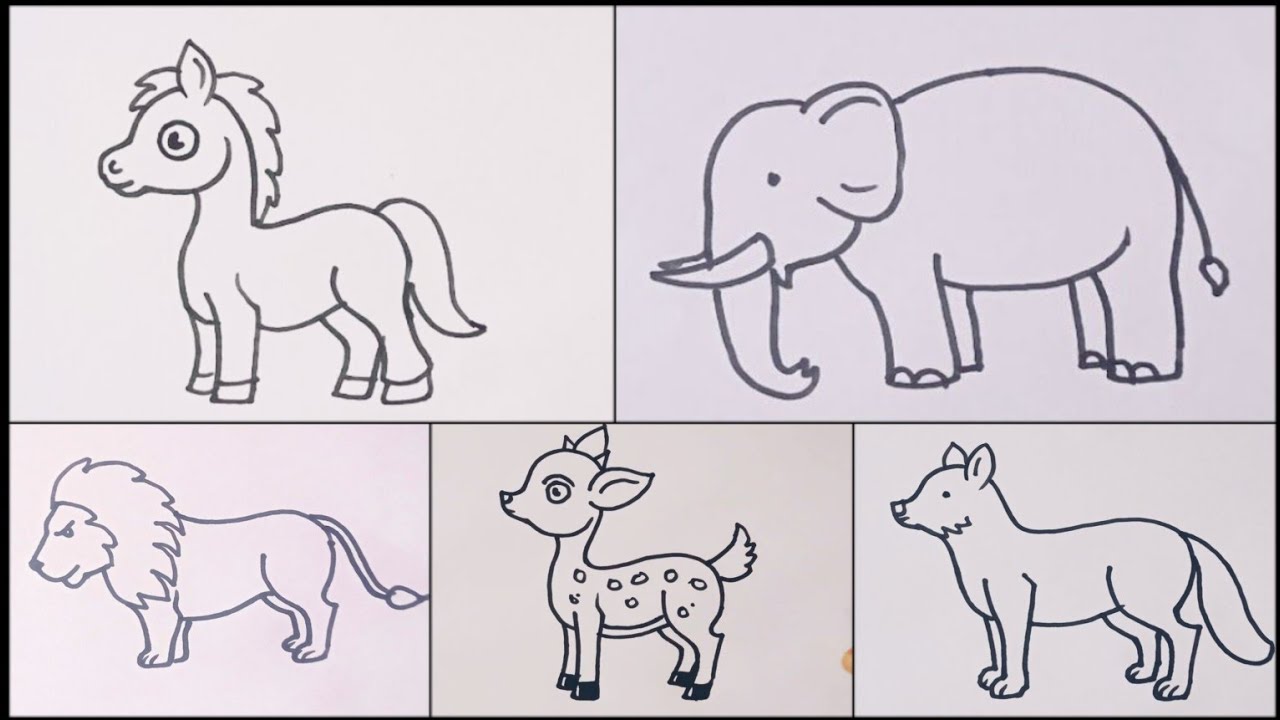 How to draw Animals /5 Different types of Animals drawing ...
