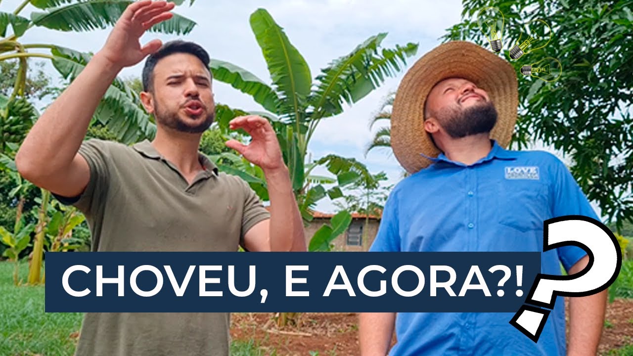 Choveu e agora? - Como produzir hortaliças no período chuvoso? Confira ...