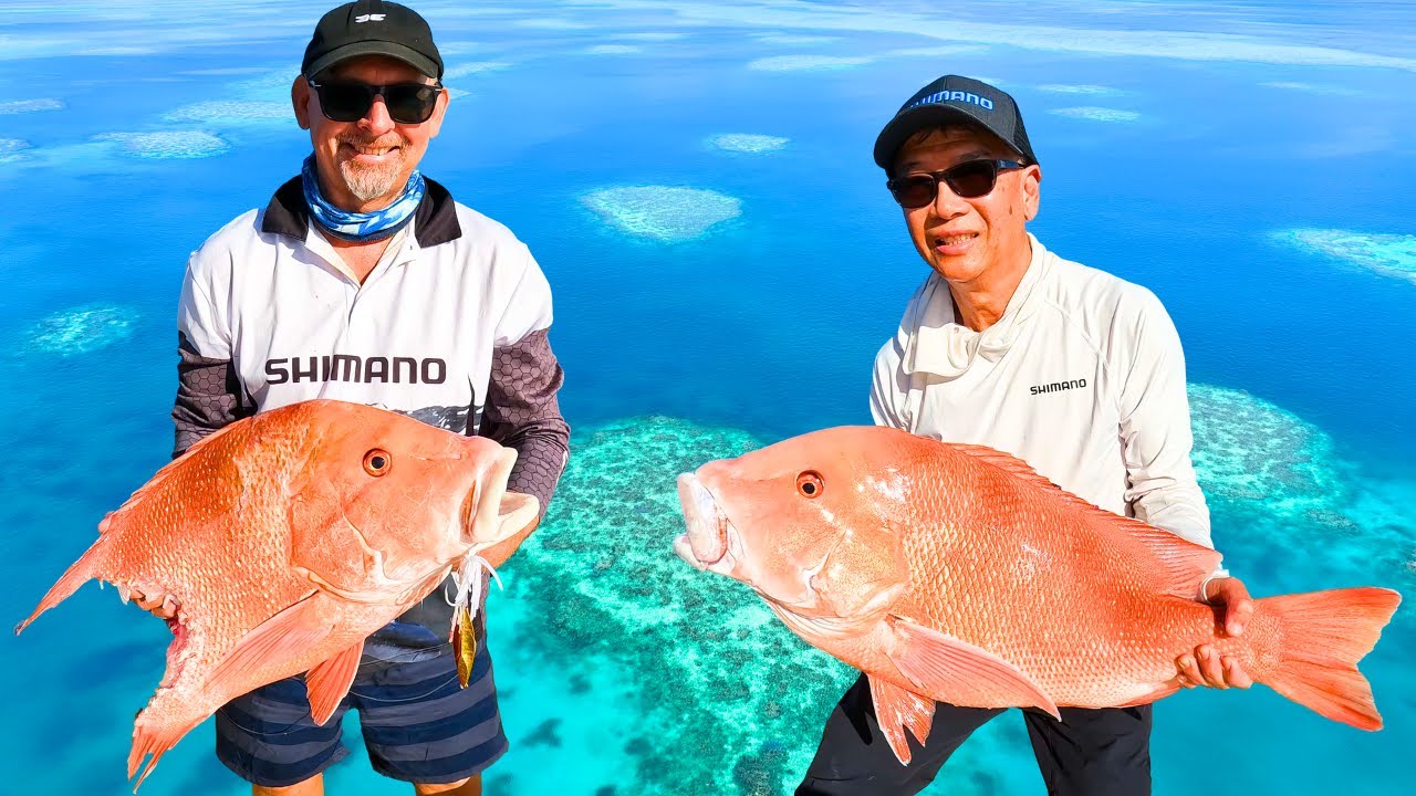 Exploring Tropical Reefs For Red Emperor (Slow Pitch Jigging Techniques ...