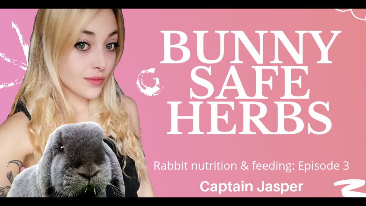 RABBIT NUTRITION & FEEDING E3: 9 Bunny safe herbs - YouTube