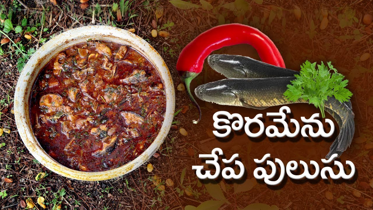 కొరమేను స్పెషల్ | Koramenu Fish Recipe | Korameenu chepala pulusu ...