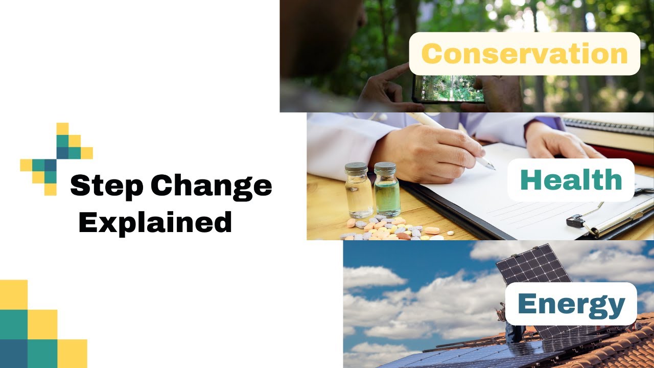 Step Change Explained - YouTube