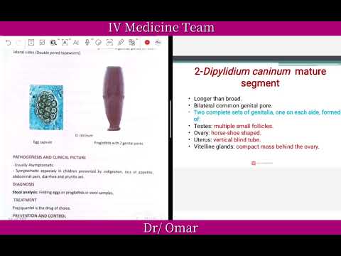 GIT-Para practical 3 - YouTube