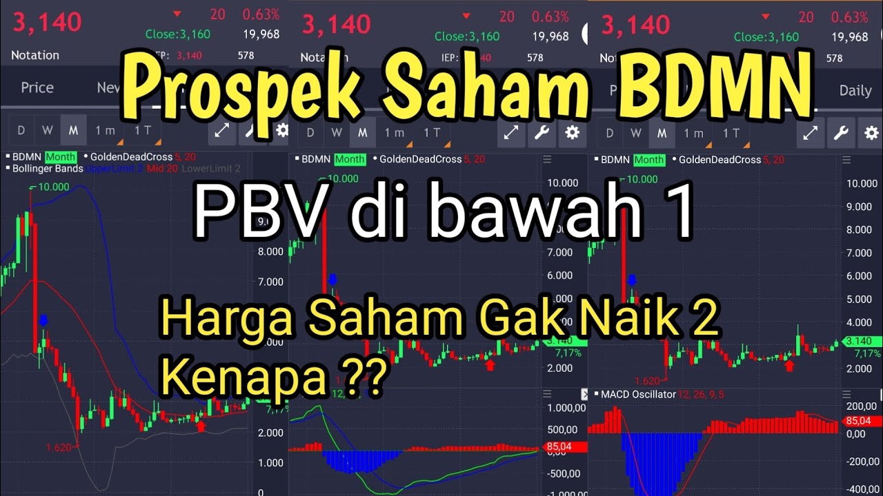 Prospek saham BDMN pbv kecil, tapi harga saham nya gak naik2 , kenapa ...