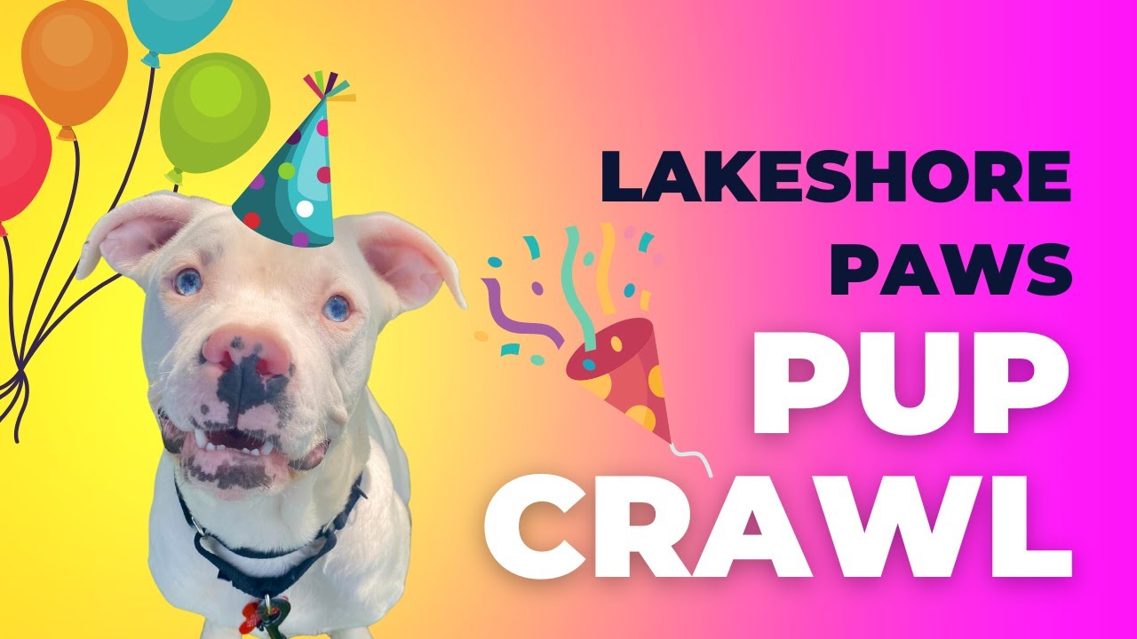 Lakeshore PAWS Pup Crawl 2023 - YouTube