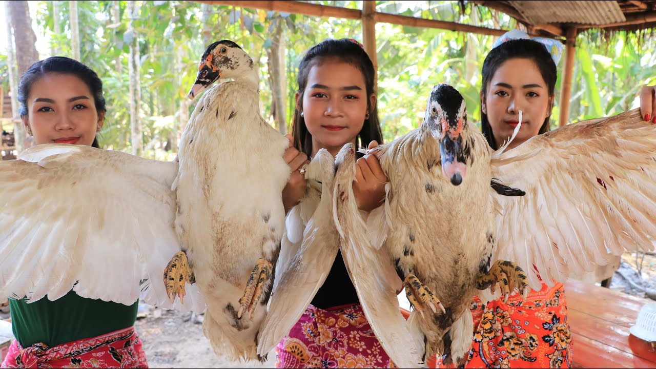 Cooking duck stir fried with coconut recipe - Natural Life TV - YouTube
