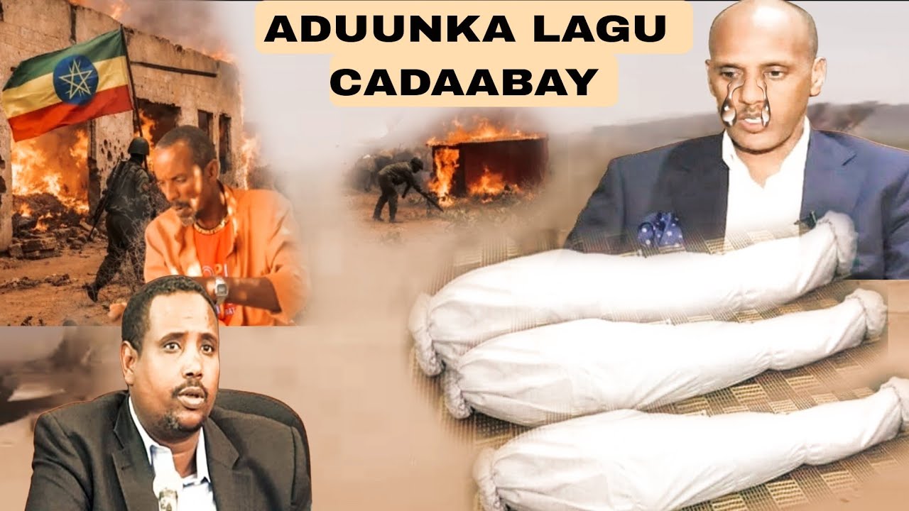 Daawo Qoys Dhan oo Noolasha lagu Gubay Kuwa La Aasay ciil Badanaa Arin ...