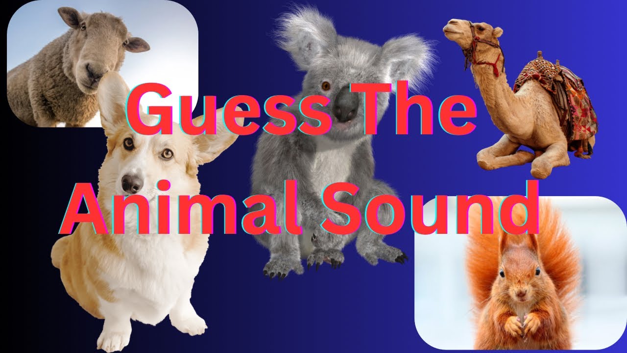Guess the Animal Sound Challenge | Animal Sounds Quiz | Fun for Kids ...
