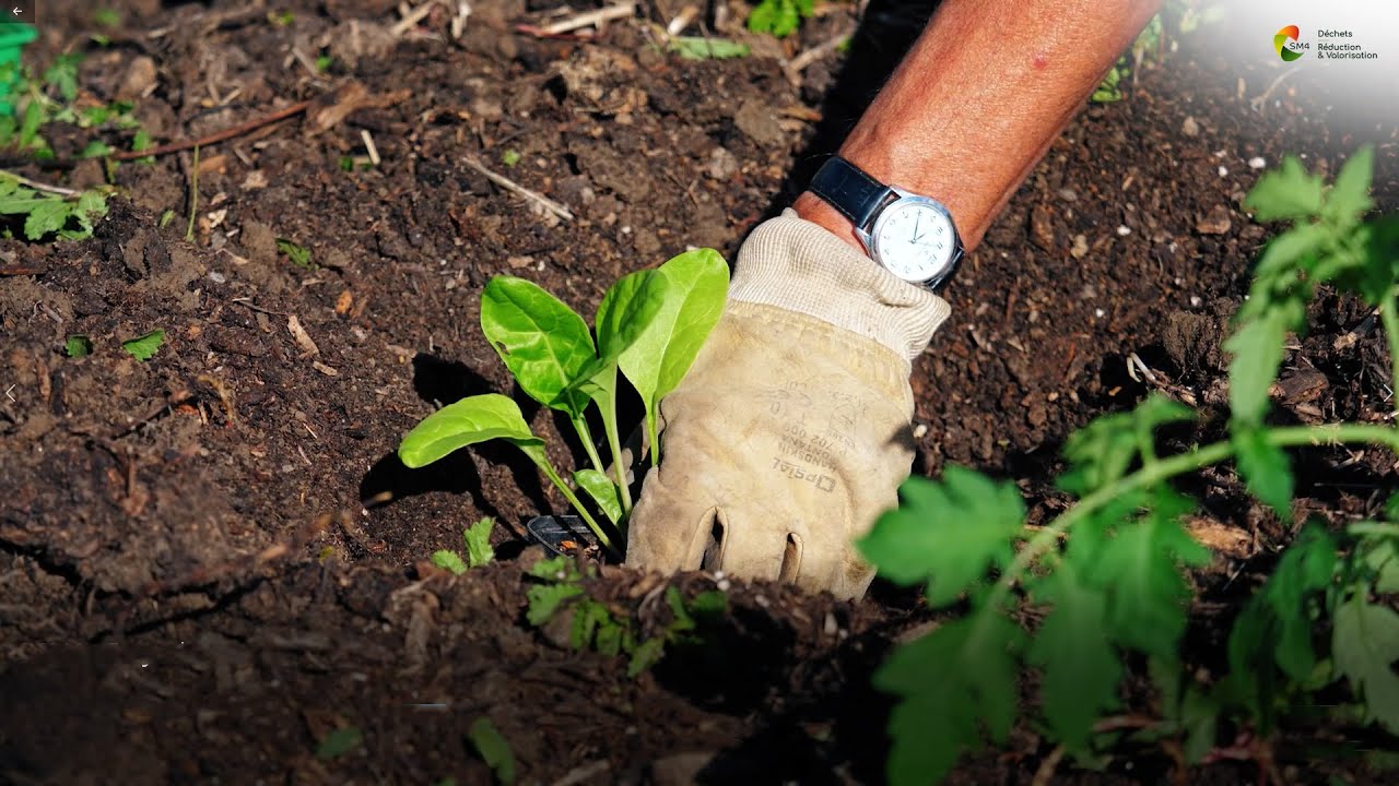 Jardinage au naturel : des bénévoles pour vous aider ! - YouTube
