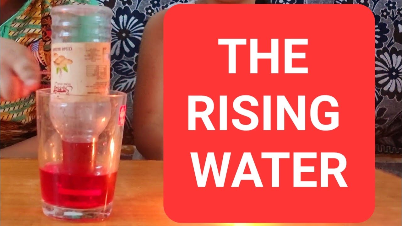 THE RISING WATER EXPERIMENT #experiment #scienceexperiments # ...