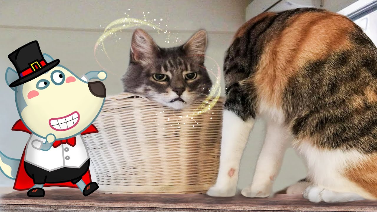 Animais de estimação mágicos Wolfoo 🧝 ♀️ Funny Stories About Magic ...