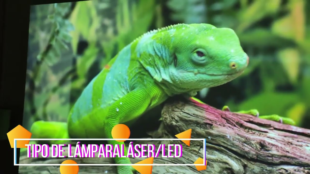 Casio Signature XJ-M250 - Proyector DLP - 3D - 3000 ANSI lumens - 1280 ...