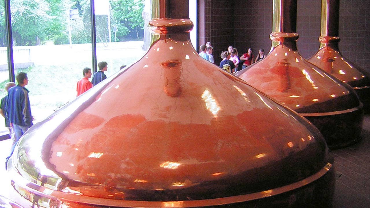 Chemistry of Beer - Unit 6 - Brewmasters' Corner: Boiling and Hopping ...
