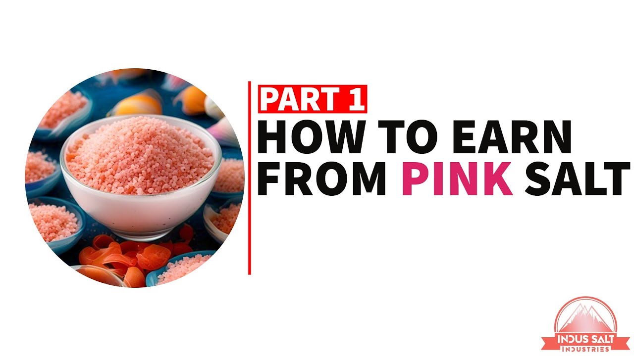 Introduction To My Salt Business Company | How i earn Money From Salt ...