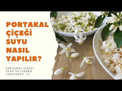 Portakal Çiçeği Suyu Nasıl Yapılır?