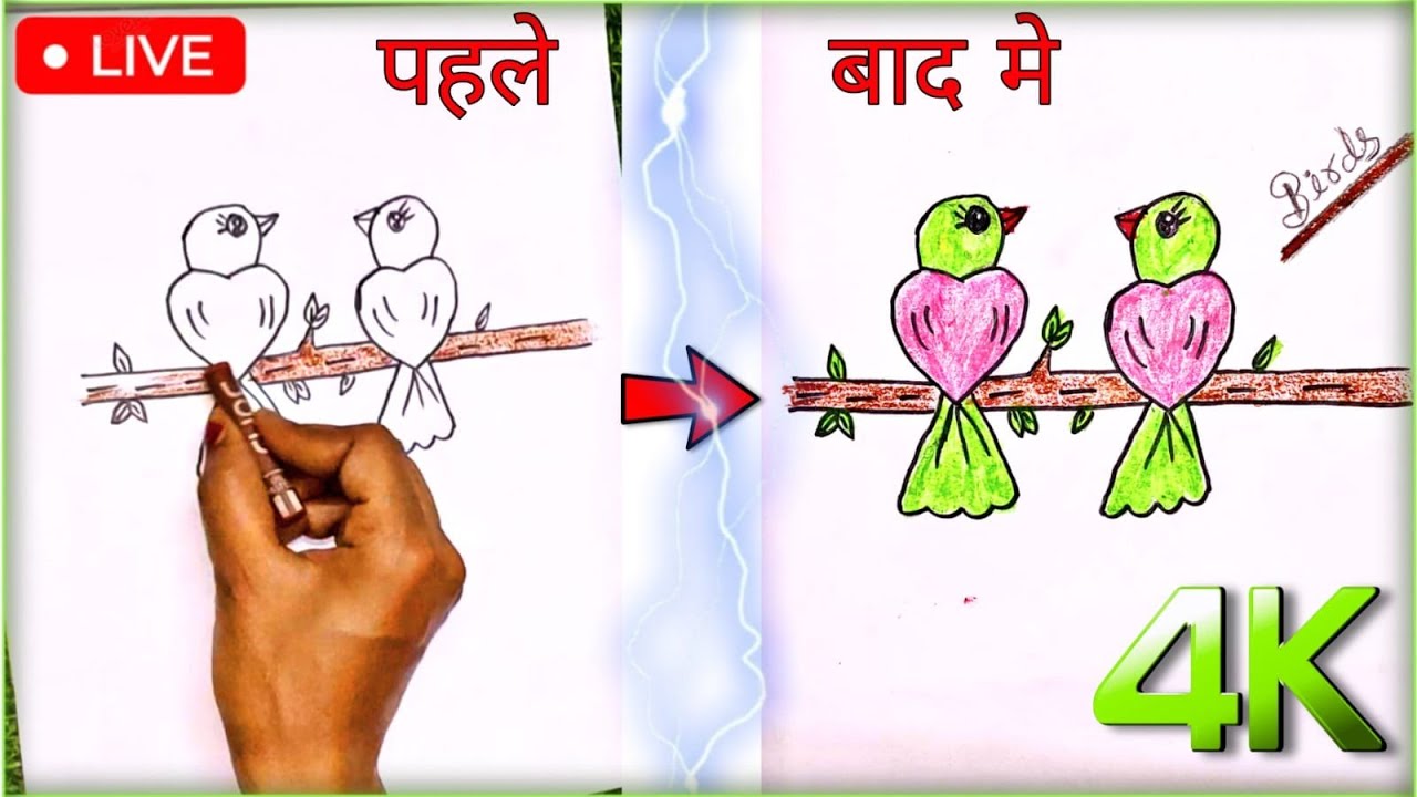 Step-by-Step Drawing: [Birds] Tutorial || From Sketch to Stunning ...