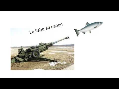 Le fishe au cannon