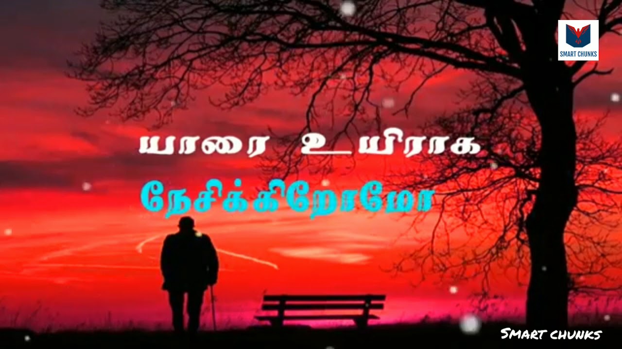 Feeling Tamil WhatsApp Status | WhatsApp Status | SMART CHUNKS - YouTube