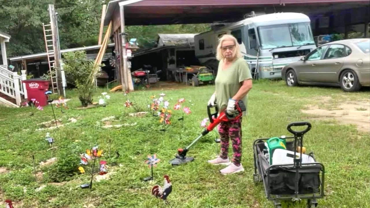 Tammy’s rock garden - YouTube